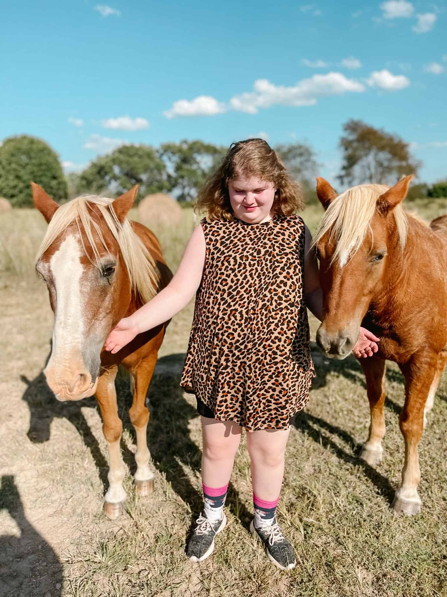 Hippotherapy & Pediatric Physical Therapy Near Me in NW Arkansas
